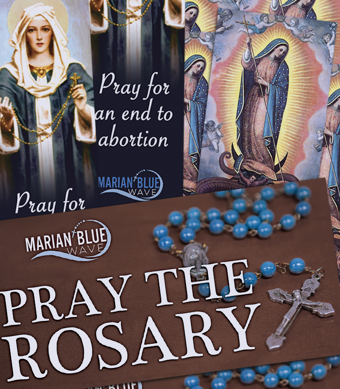 Marian Blue Wave – American Life League