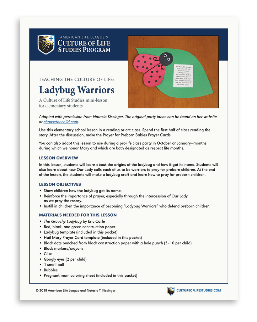 Free e-lesson Ladybug Warriors (Download) – American Life League
